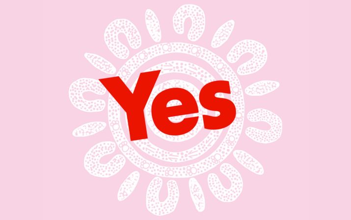 Supporting the Voice makes for better health outcomes - WAPHA