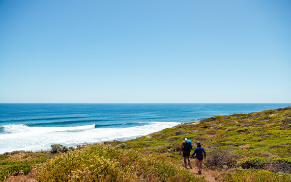 New directory supporting the South West to eat well and be active - WAPHA