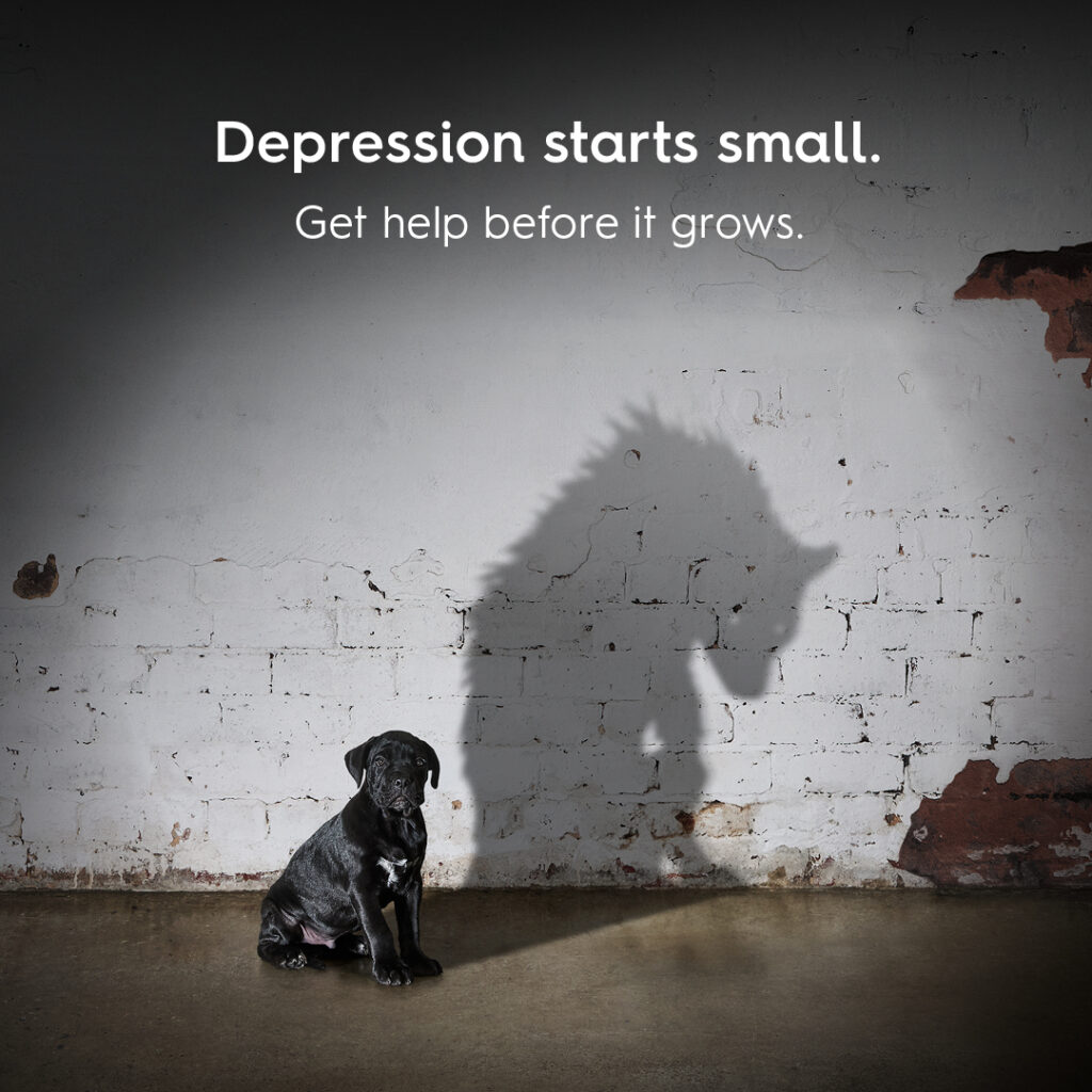 WAPHA | Don’t ignore the black puppy: Why small signs of depression ...