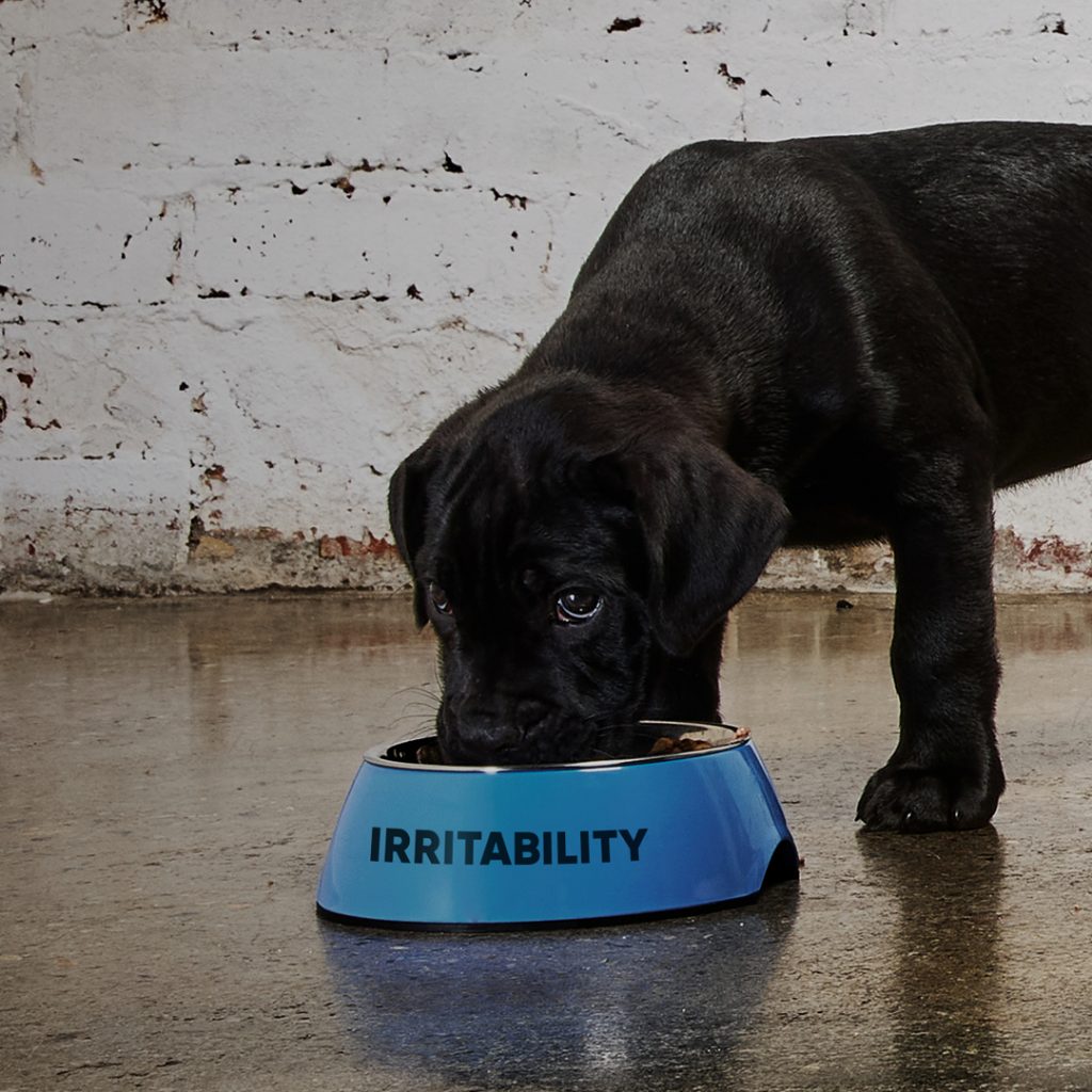 WAPHA | Depression starts small